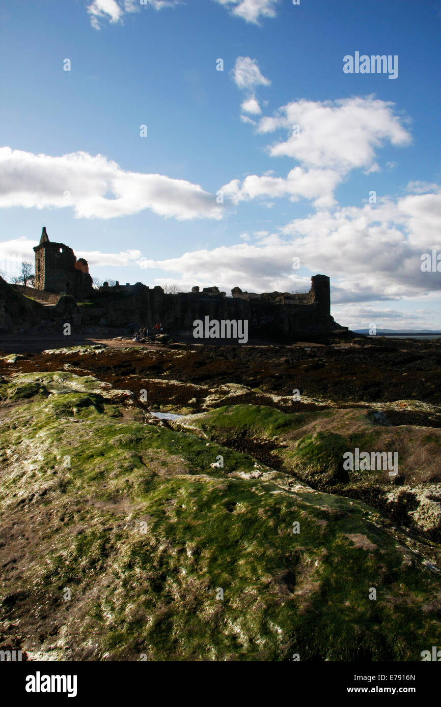 St. Andrew, Scotland Stock Photo - Alamy