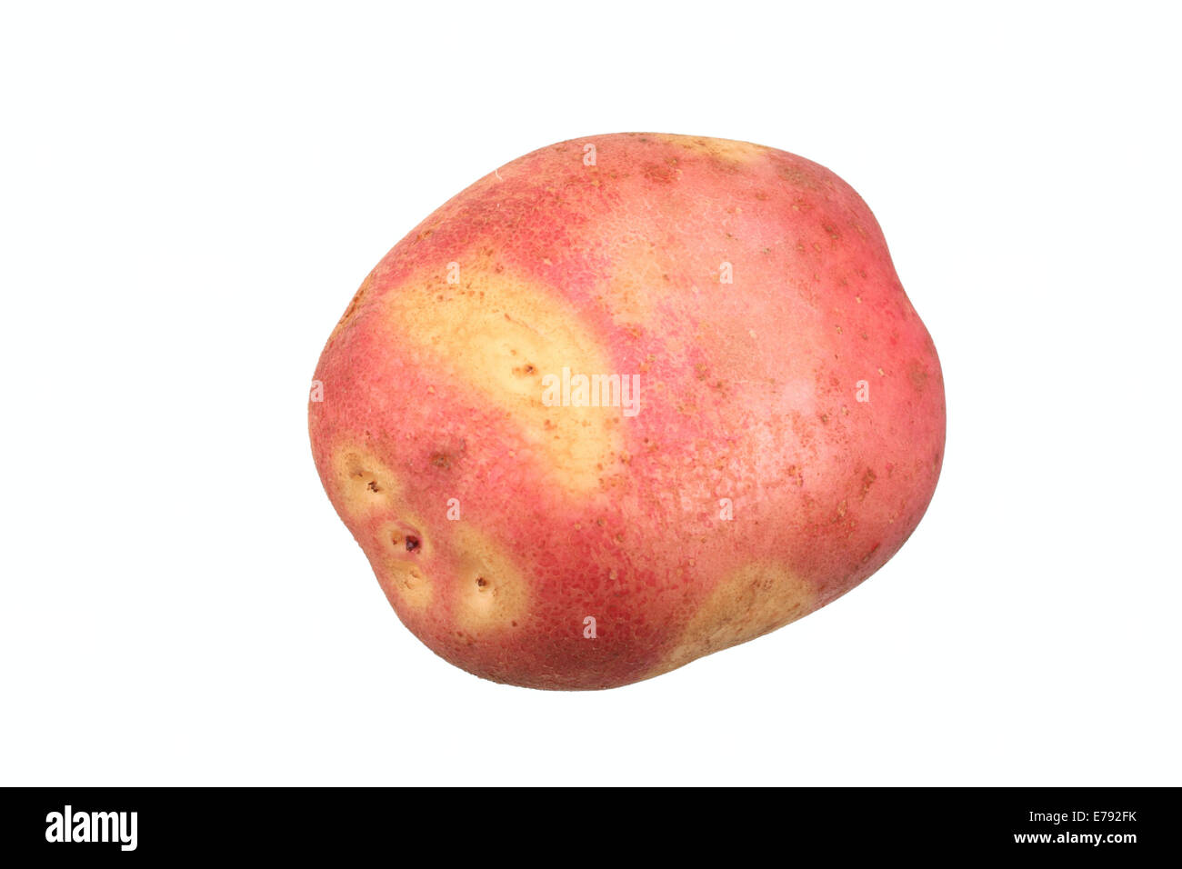 Potato, Mayan Twilight variety Stock Photo - Alamy