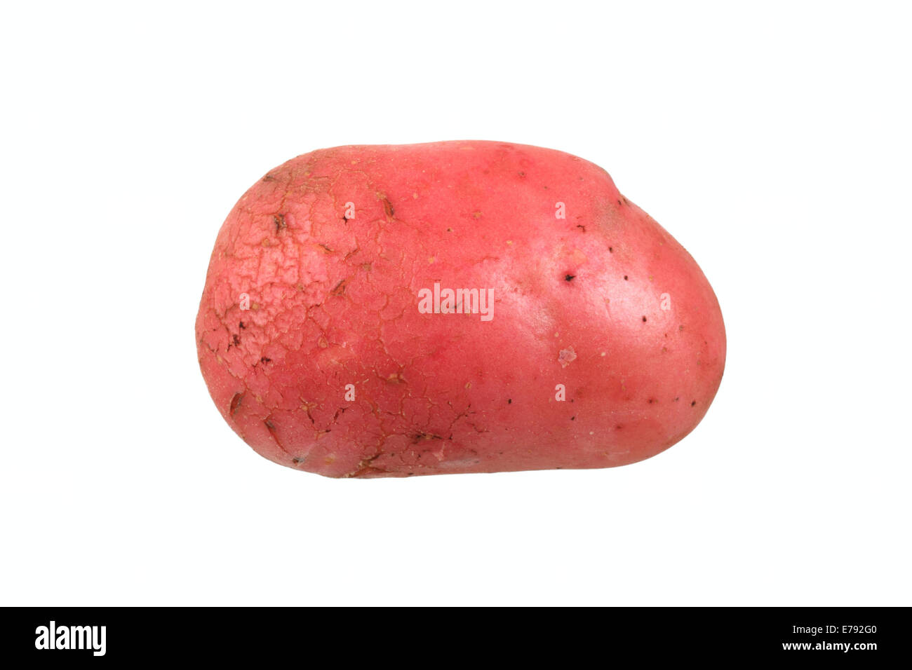 Potato, Laura variety Stock Photo - Alamy