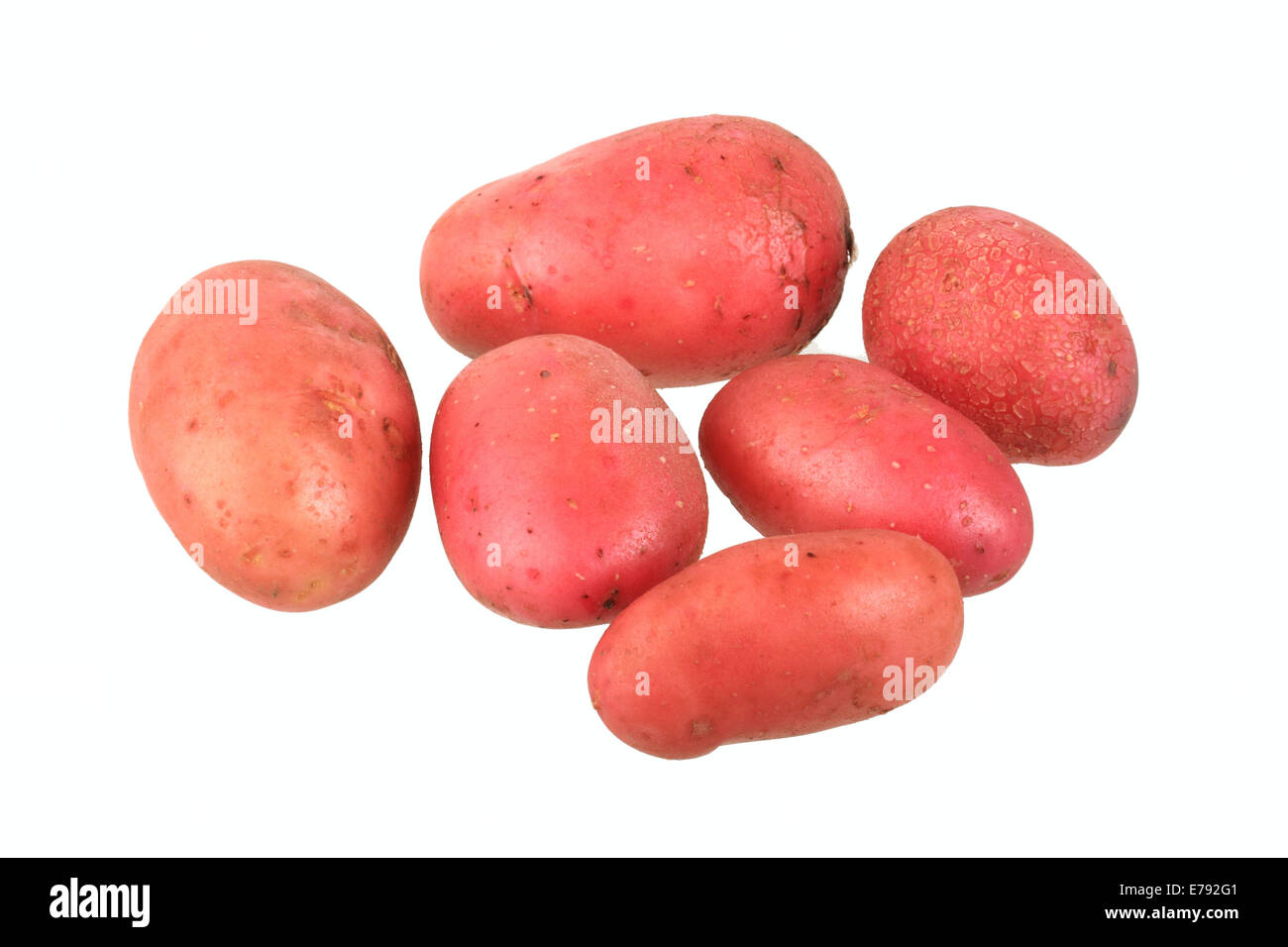 Potatoes, Laura variety Stock Photo - Alamy