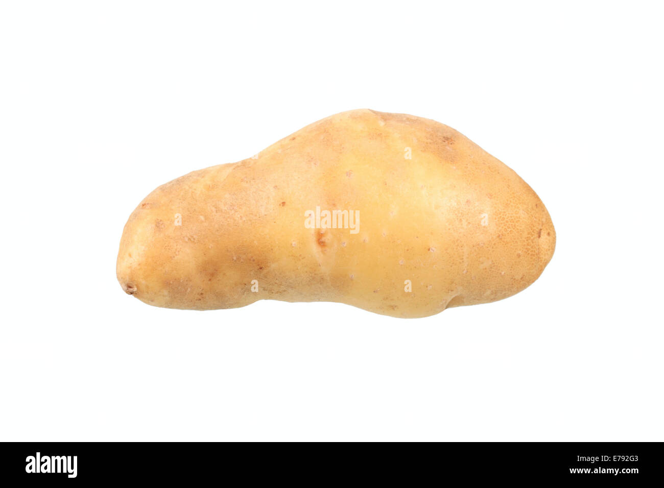 Potato, La Ratte d'Ardèche variety Stock Photo - Alamy