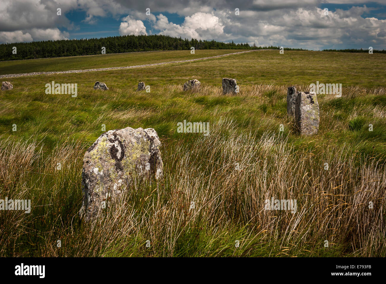 The Greywethers Bronze Age Double Stone Circle on Dartmoor, Devon, UK ...