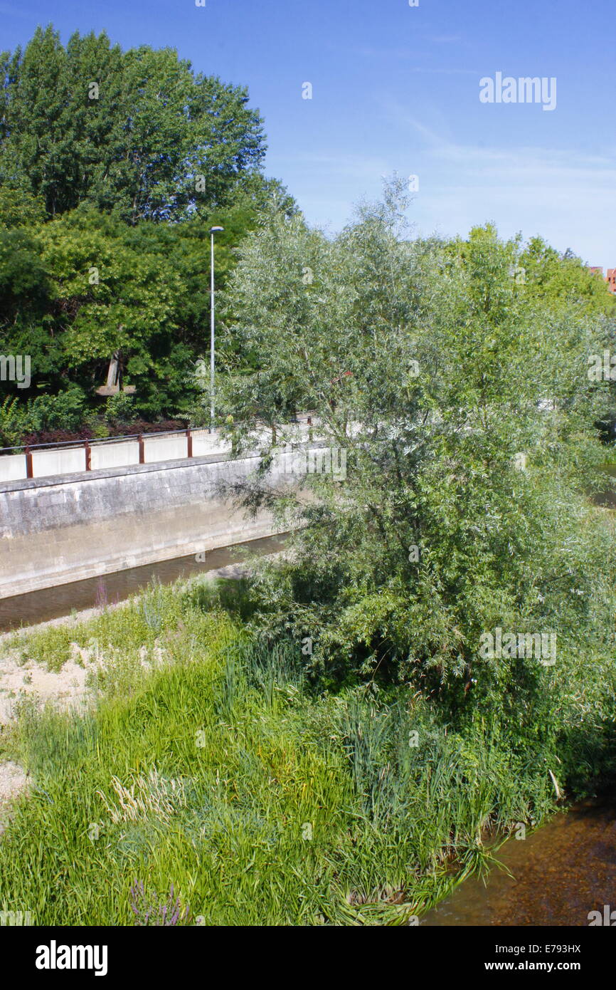 City center of Leon with river, building and bicycle path, Castile and ...