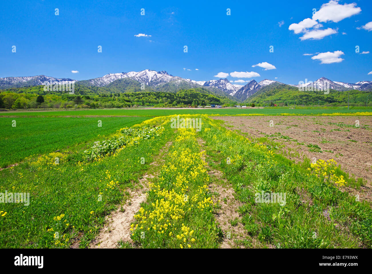 Yubari hokkaido hi-res stock photography and images - Alamy
