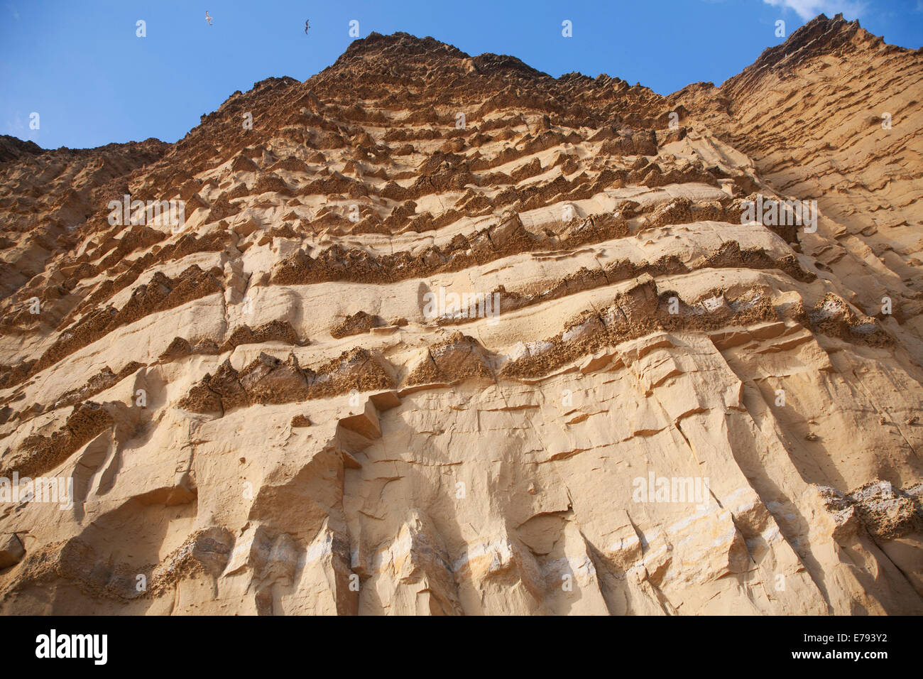 Sandstone cliffs and beach West Bay, Bridport, Dorset, England Stock ...