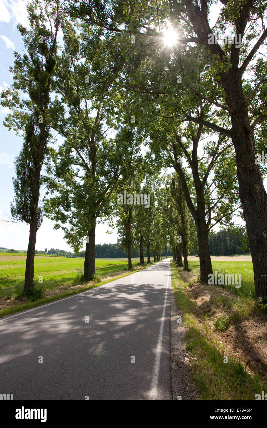 Road in the countryside Stock Photo - Alamy