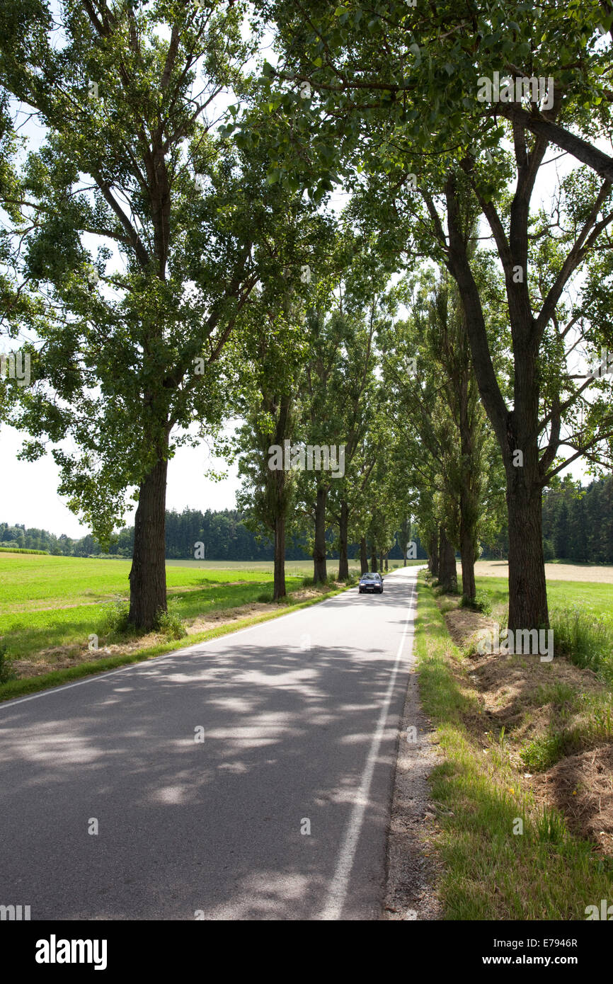 Road in the countryside Stock Photo - Alamy