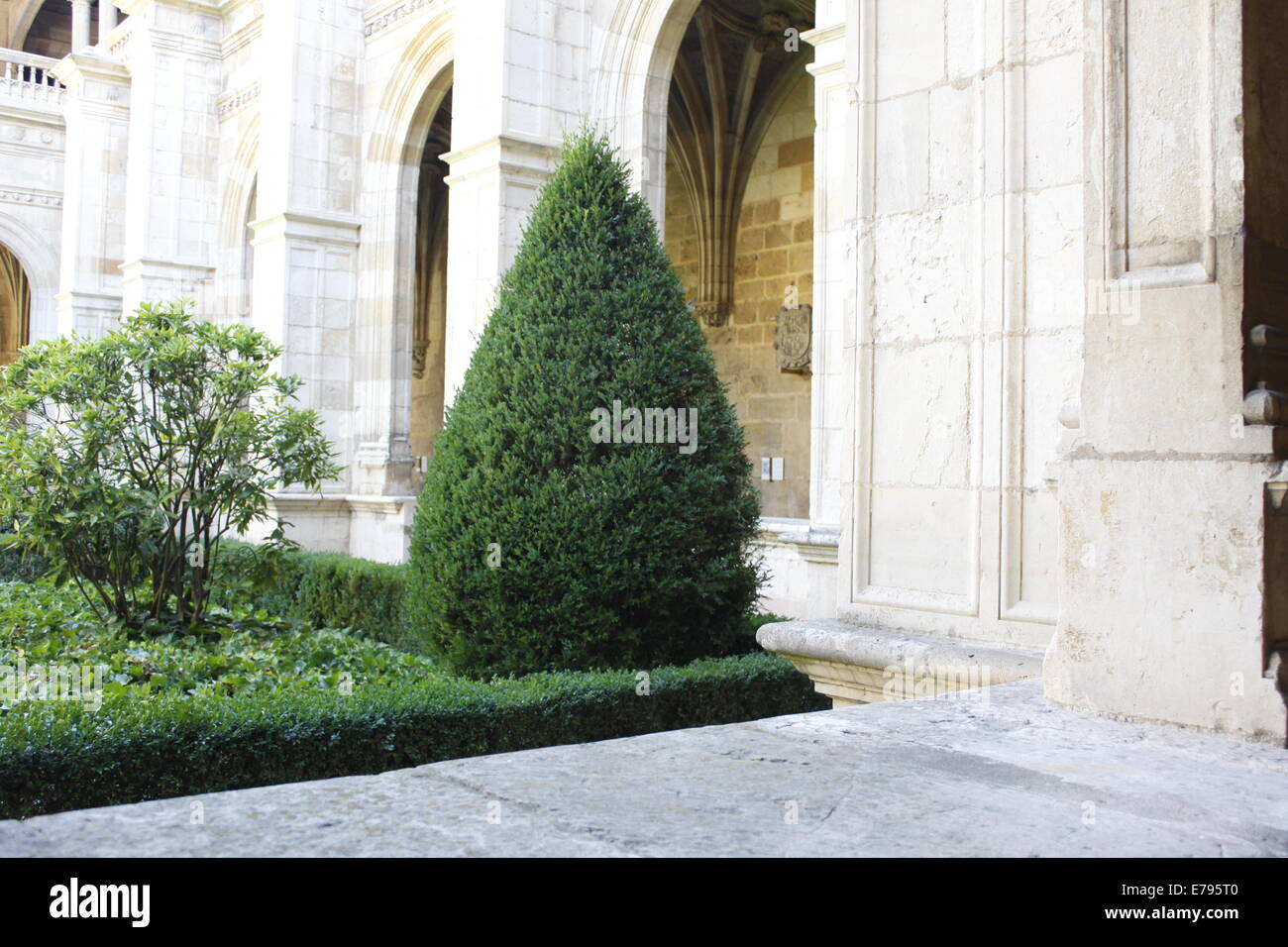 Garden inside the church which leads to the garden of the Basilica of ...