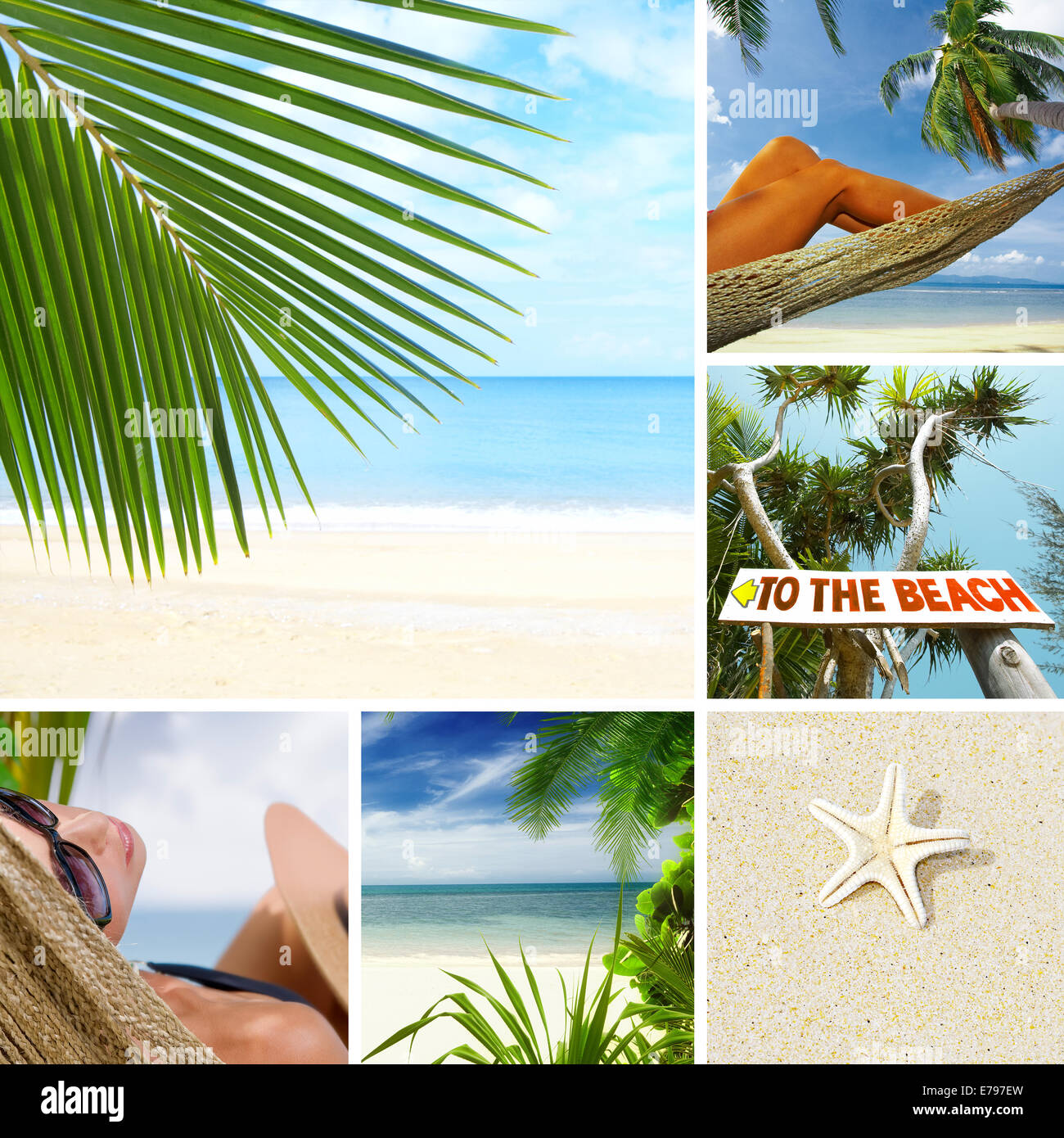 Collage summer beach images nature hi-res stock photography and images ...