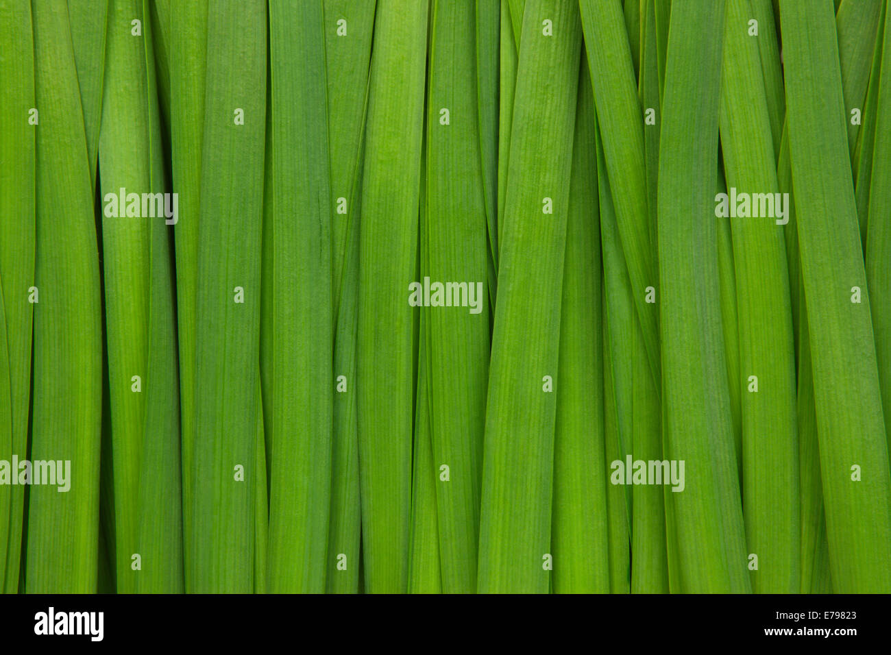 Multiple stamina hi-res stock photography and images - Alamy