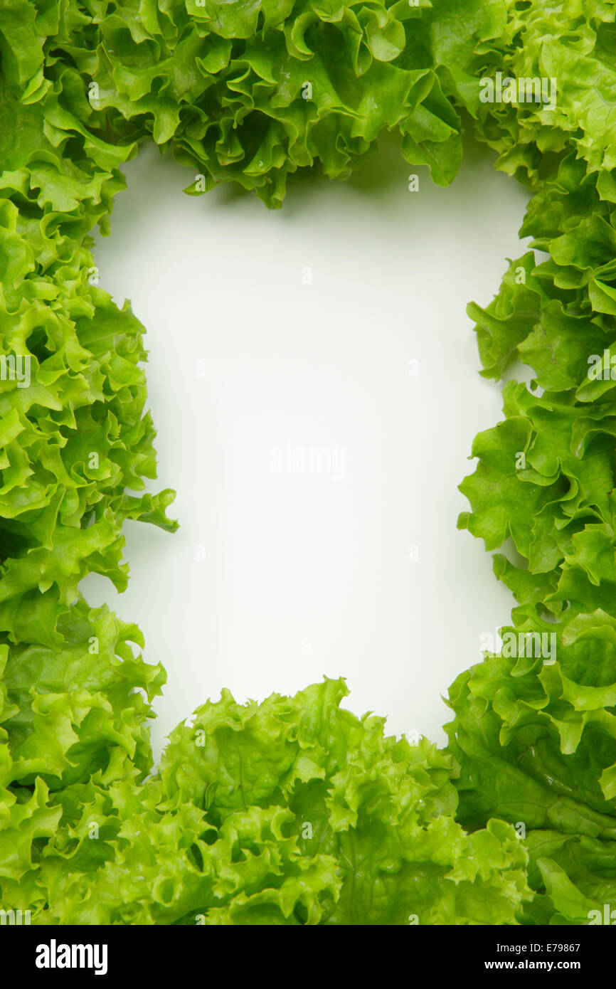 Frill lettuce hi-res stock photography and images - Alamy