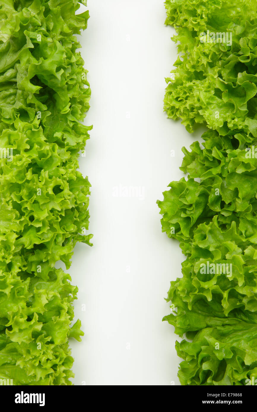 Frill lettuce hi-res stock photography and images - Alamy