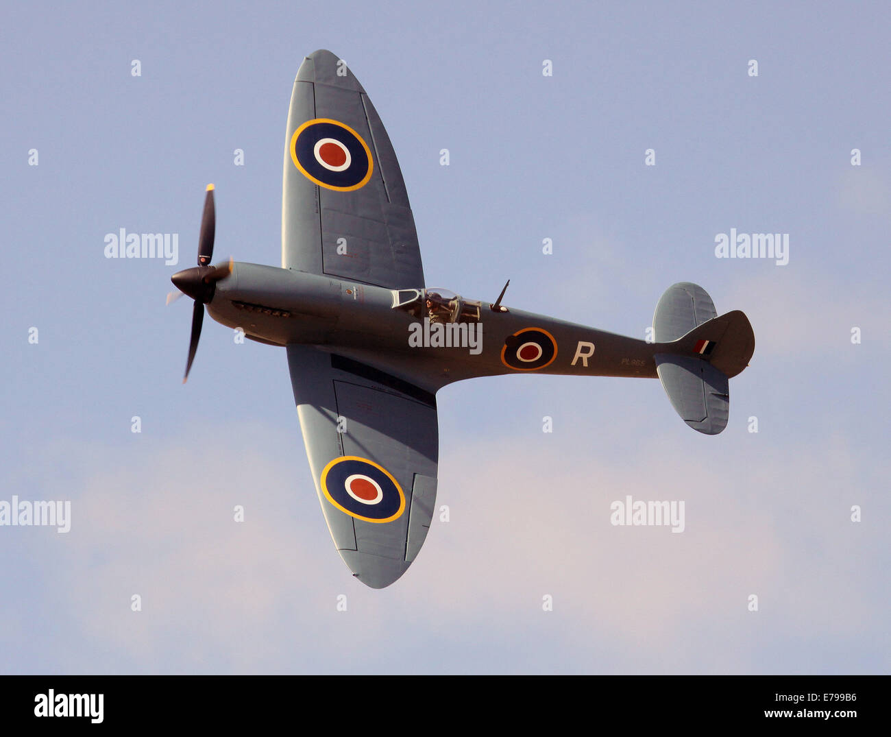 Spitfire soars in the sky Stock Photo - Alamy