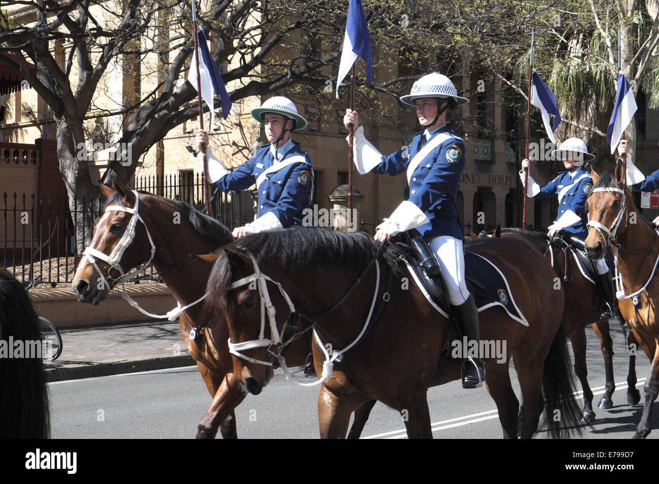 Mounted new south wales police form part of the honour guard for ...