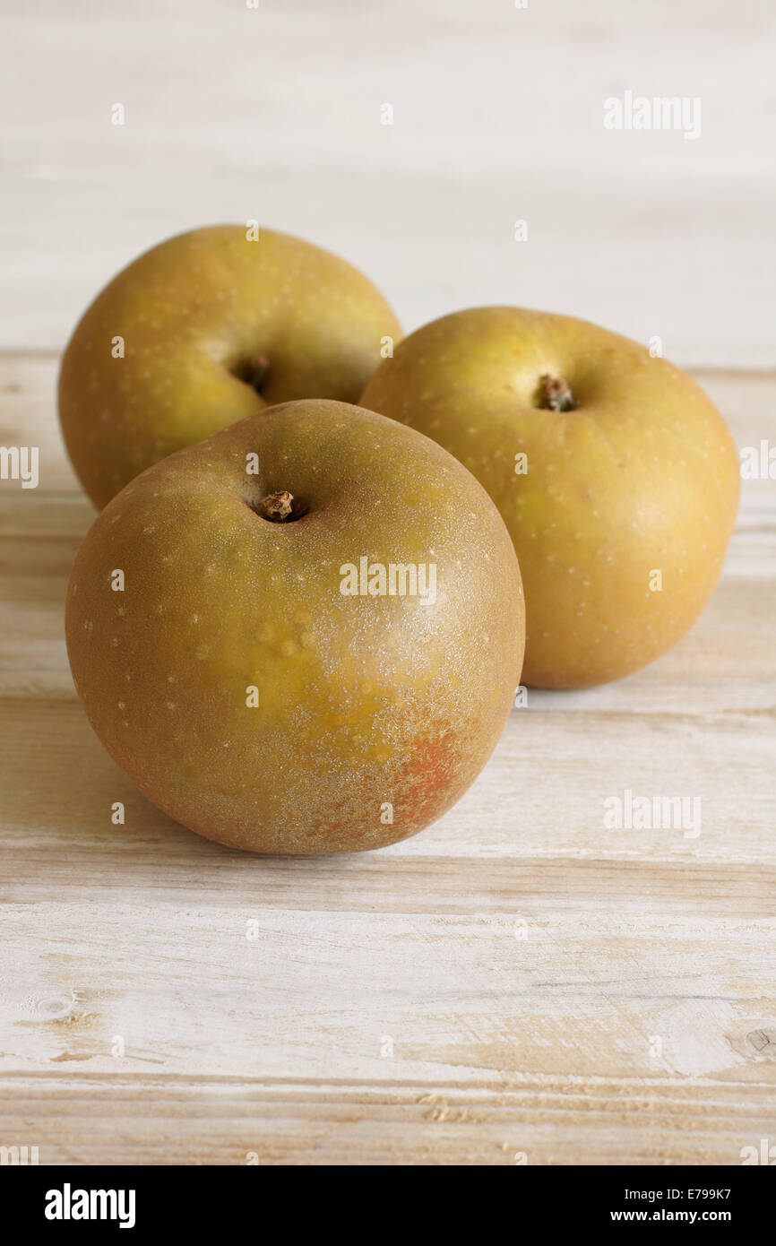 Apple variety Malus domestica Egremont Russet Stock Photo - Alamy