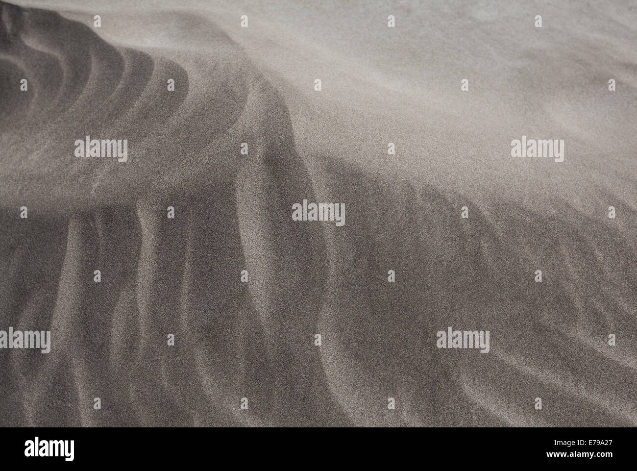 Detailed structure of a sand dune Stock Photo - Alamy