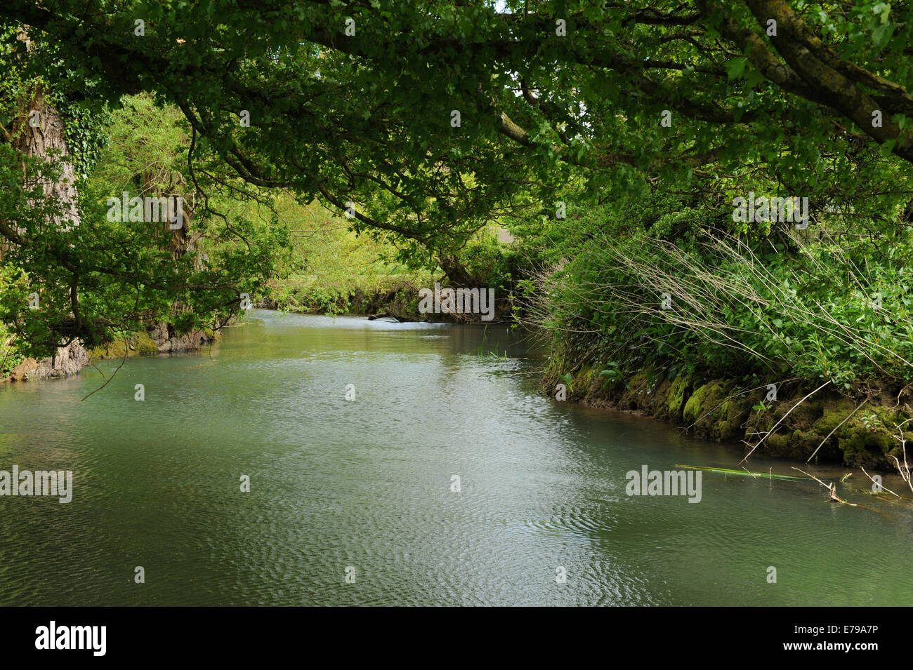 A rural river landscape near Malmesbury in the Cotswolds, Wiltshire ...