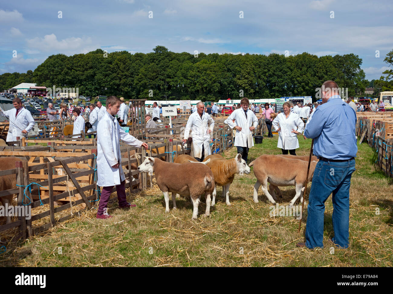 Summer country show hi-res stock photography and images - Alamy