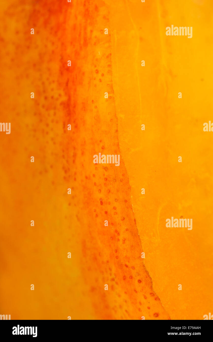 nectarine cut texture fruit abstract backgrounds Stock Photo - Alamy