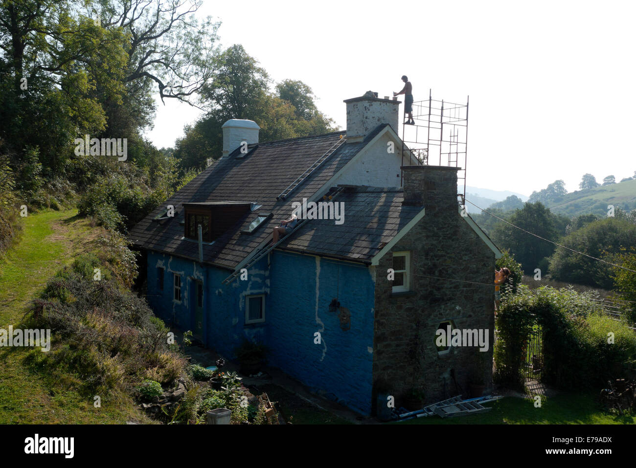 Kathy de witt hi-res stock photography and images - Alamy