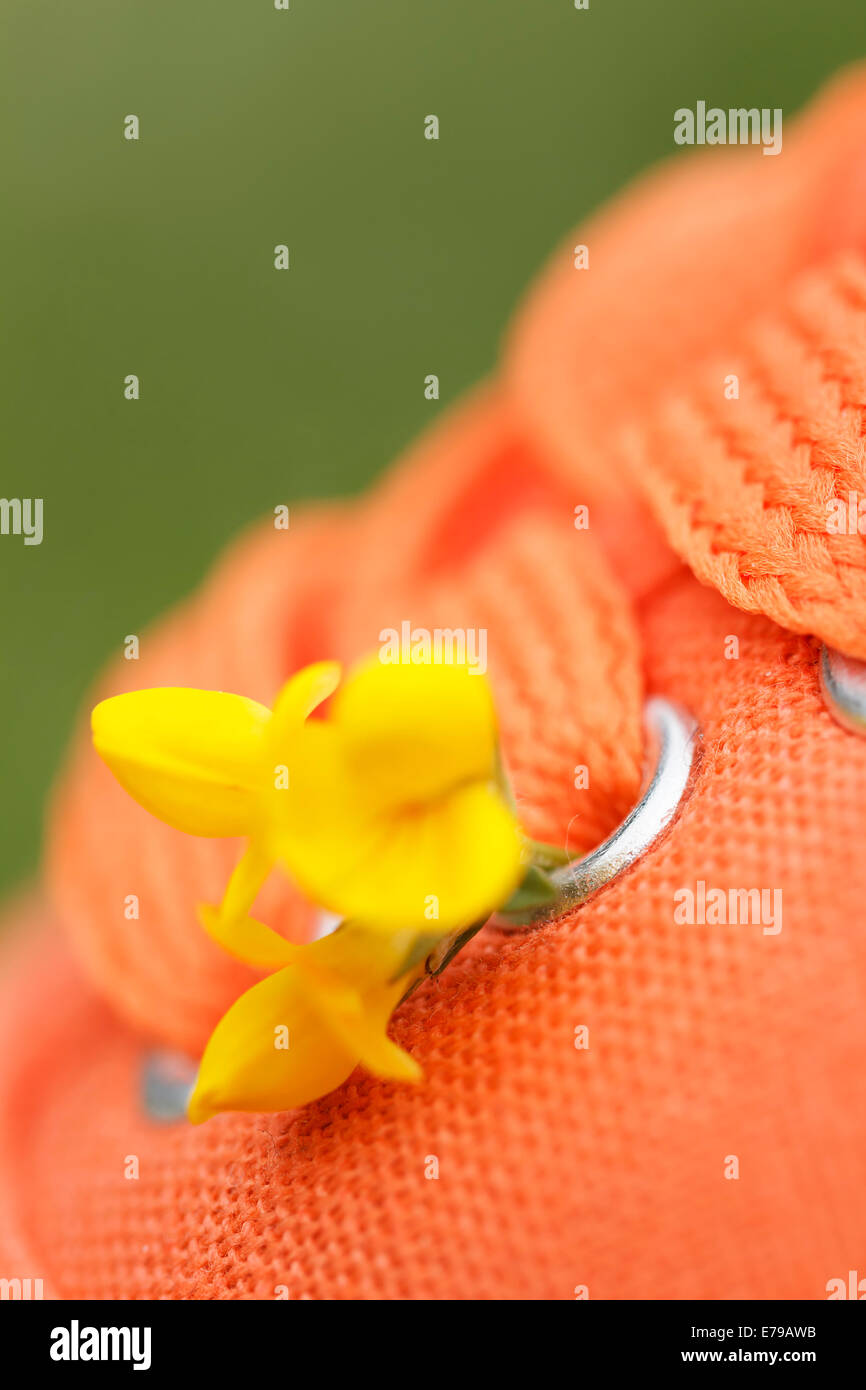 Detailed view orange yellow hi-res stock photography and images - Alamy