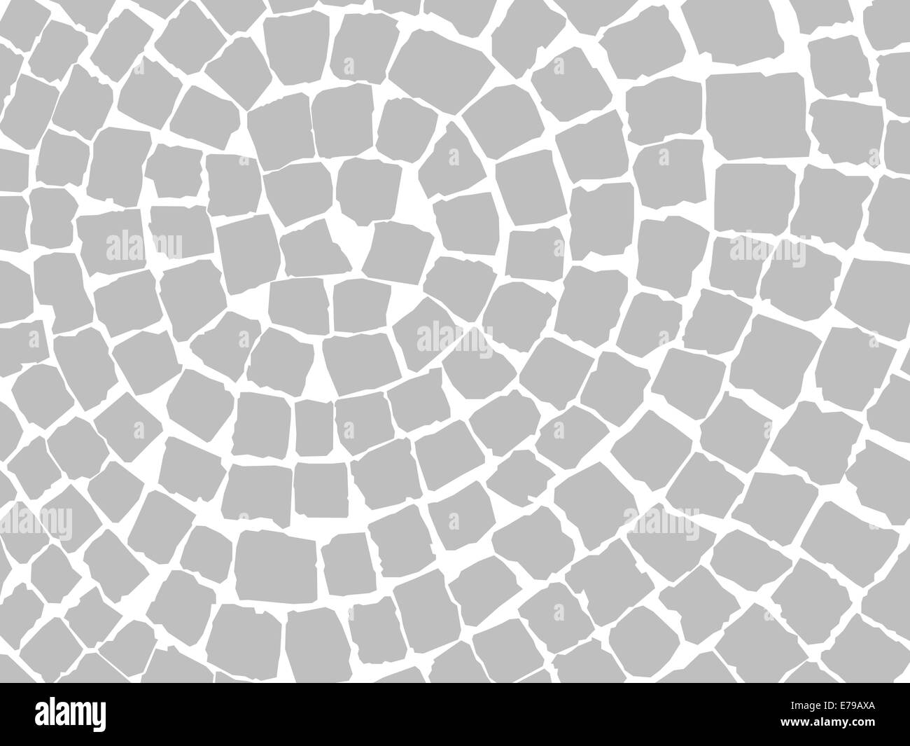 Old pavers Black and White Stock Photos & Images - Alamy