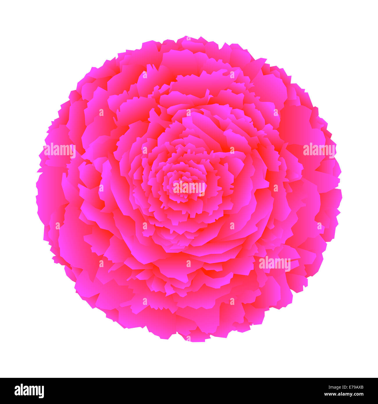 Pink fresh flower Cut Out Stock Images & Pictures - Alamy