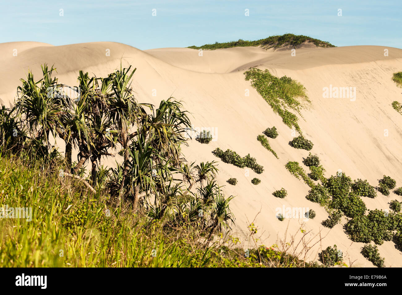 Sigatoka sand dunes fiji hi-res stock photography and images - Alamy