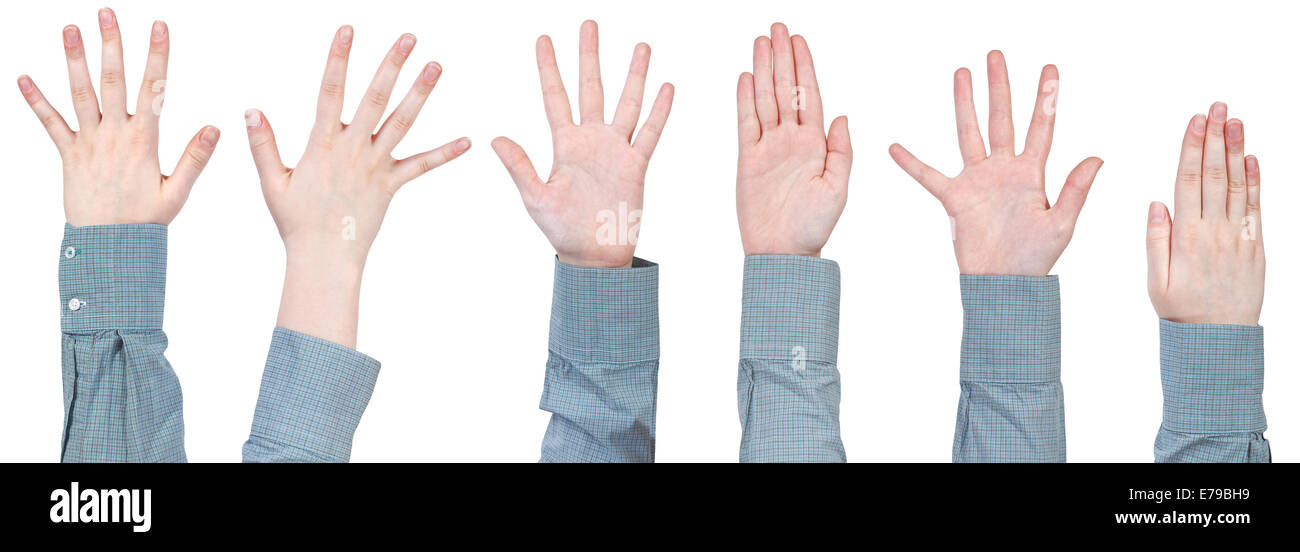 set of female palms with five fingers - hand gesture isolated on white ...