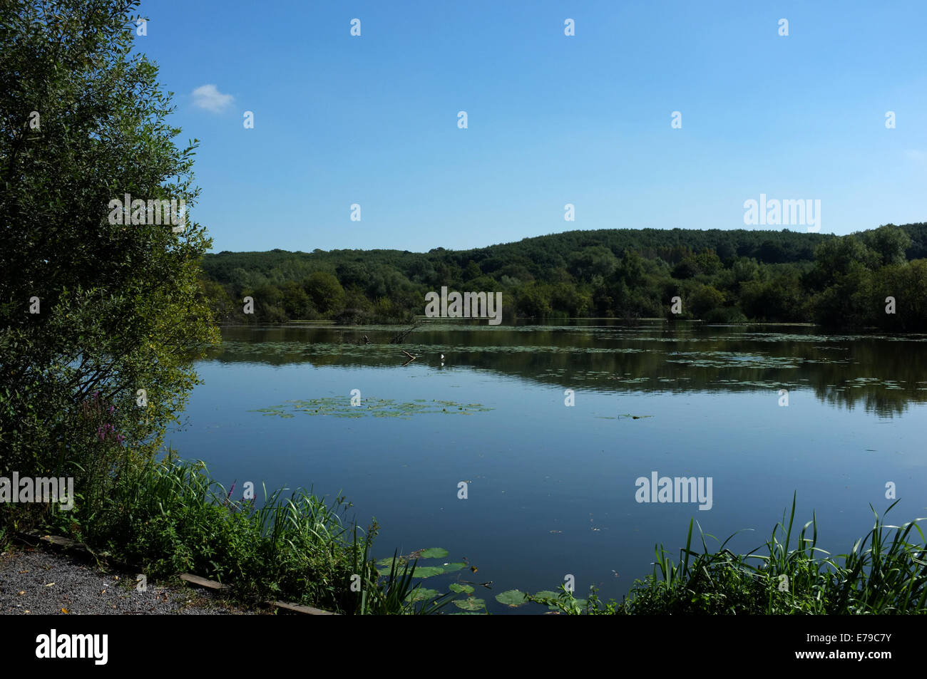 Uk lakes fishing hi-res stock photography and images - Alamy