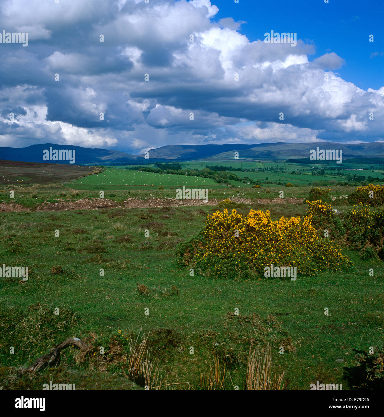 Knockmealdown Mountains Tipperary Ireland Stock Photo - Alamy