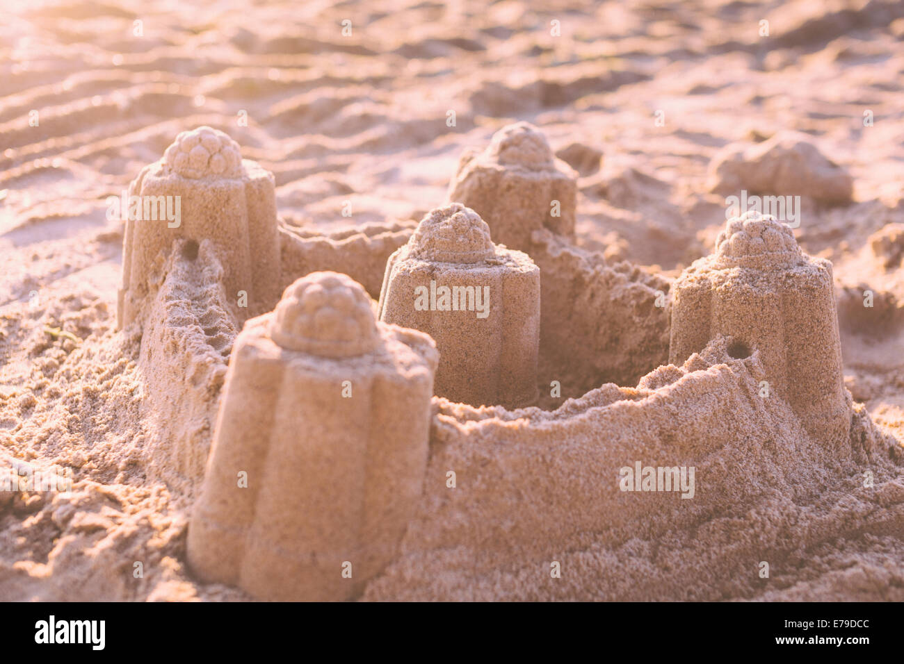 The construction of seashell hi-res stock photography and images - Alamy