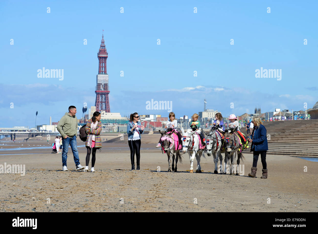 Traditional english seaside donkey rides hi-res stock photography and ...