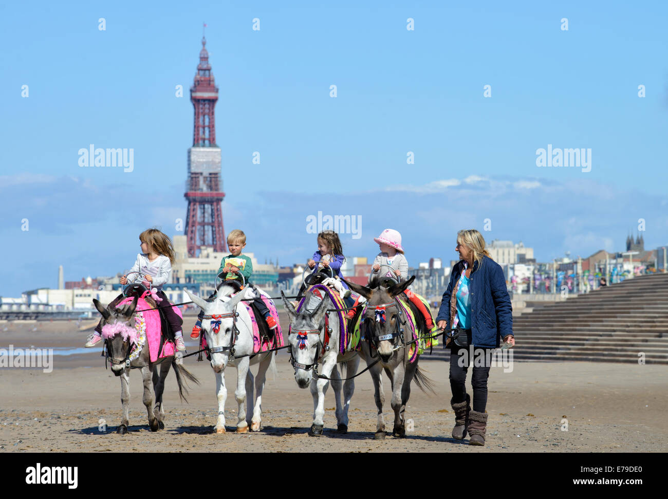 Children enjoying traditional donkey rides on Blackpool beach with ...