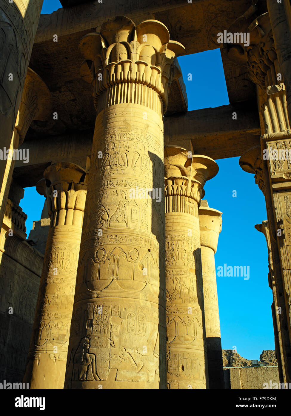 Temple columns and roof of the Hypostle Hall at Kom Ombo Stock Photo ...