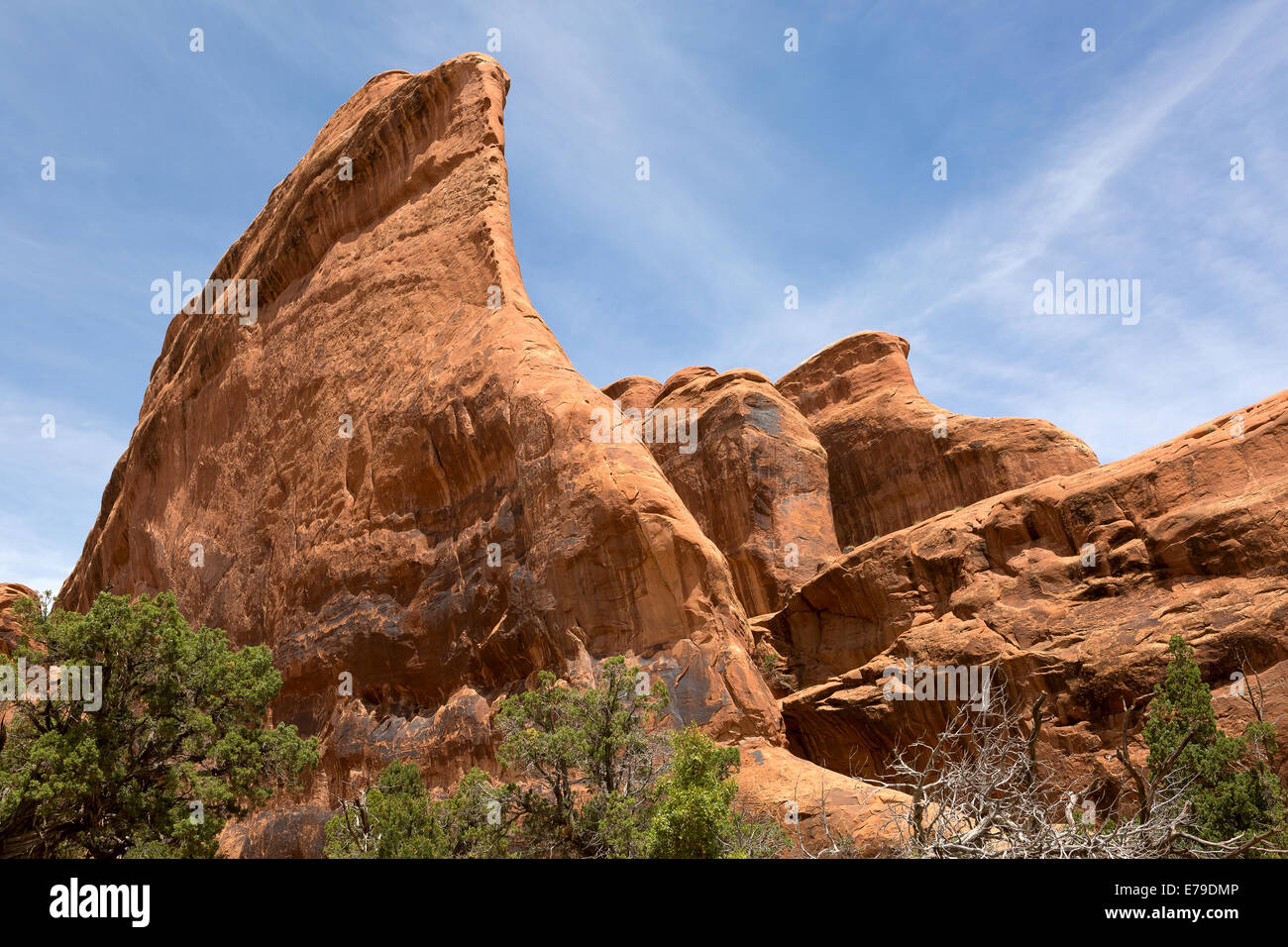 wind eroded sandstone red rock cliffs in Arches National Park Utah ...