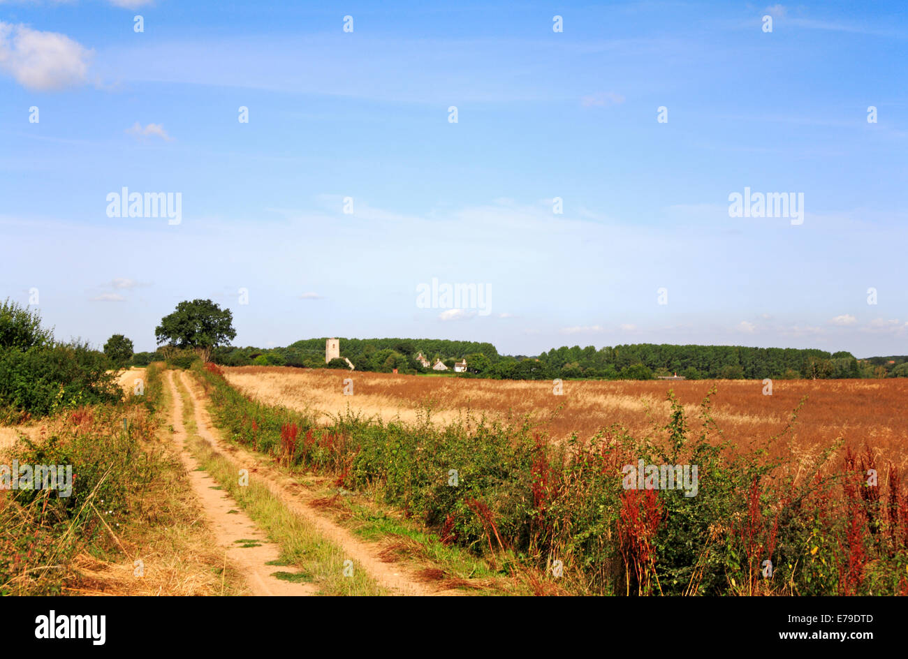 A country track and footpath through the countryside at Claxton ...