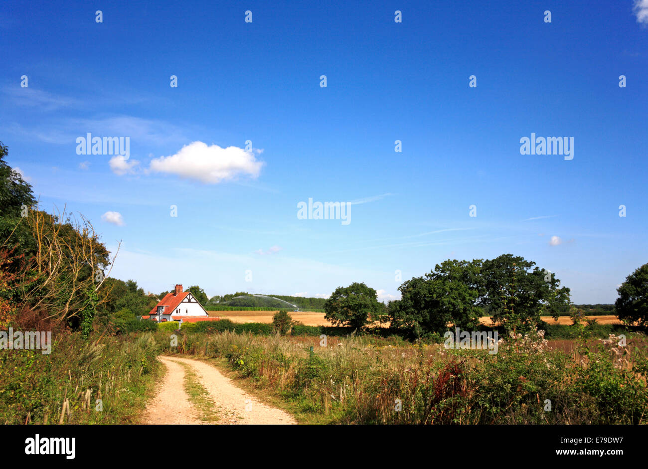 A track and public footpath through the countryside at Claxton, Norfolk ...