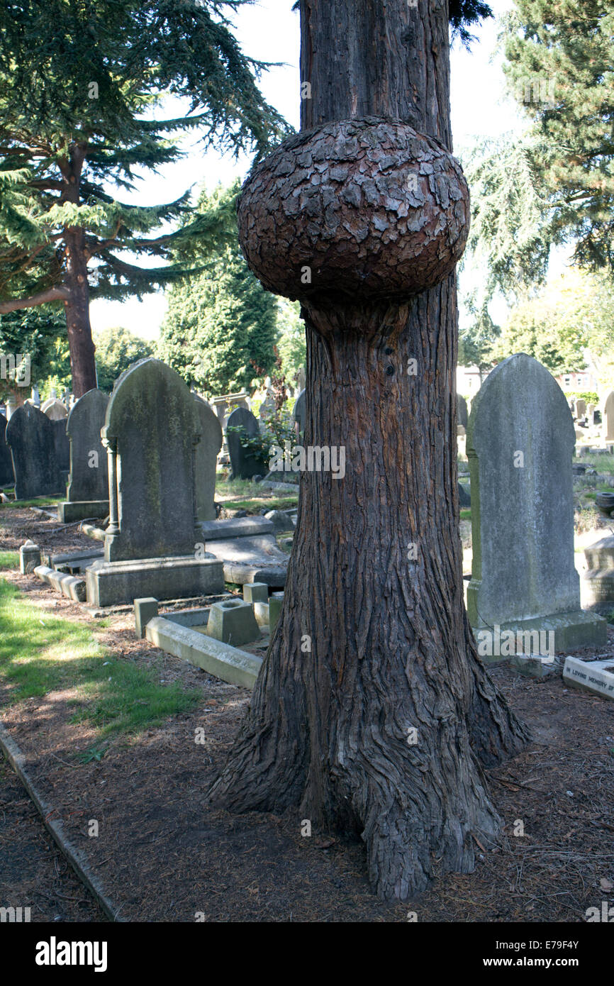 Yardley cemetery birmingham hi-res stock photography and images - Alamy