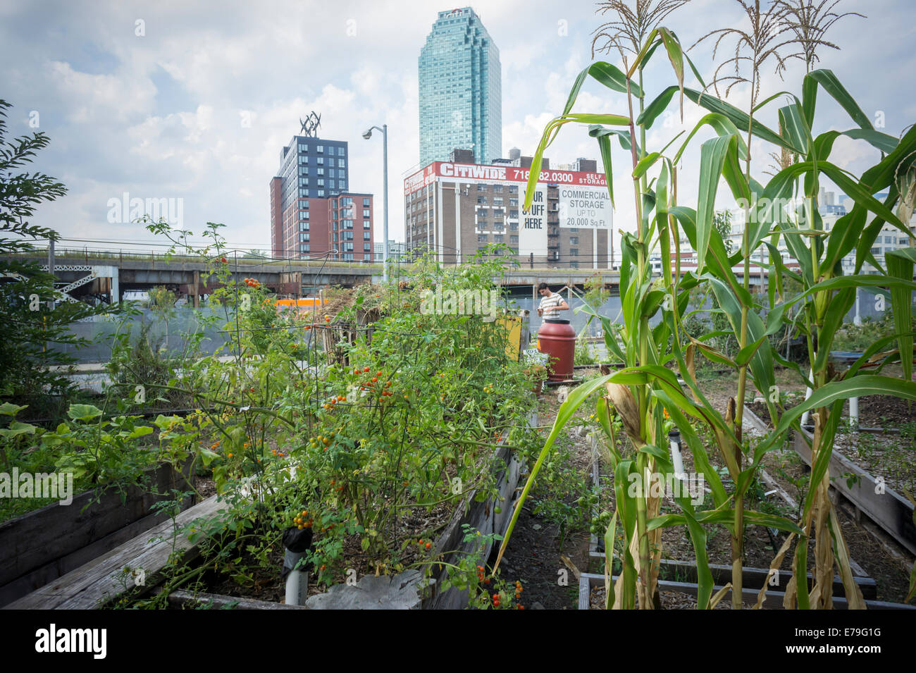 Long island city queens farm hi-res stock photography and images - Alamy