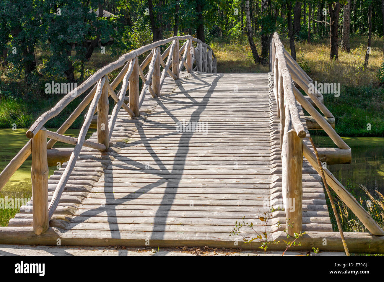Wooden bridge over forest pond Stock Photo - Alamy