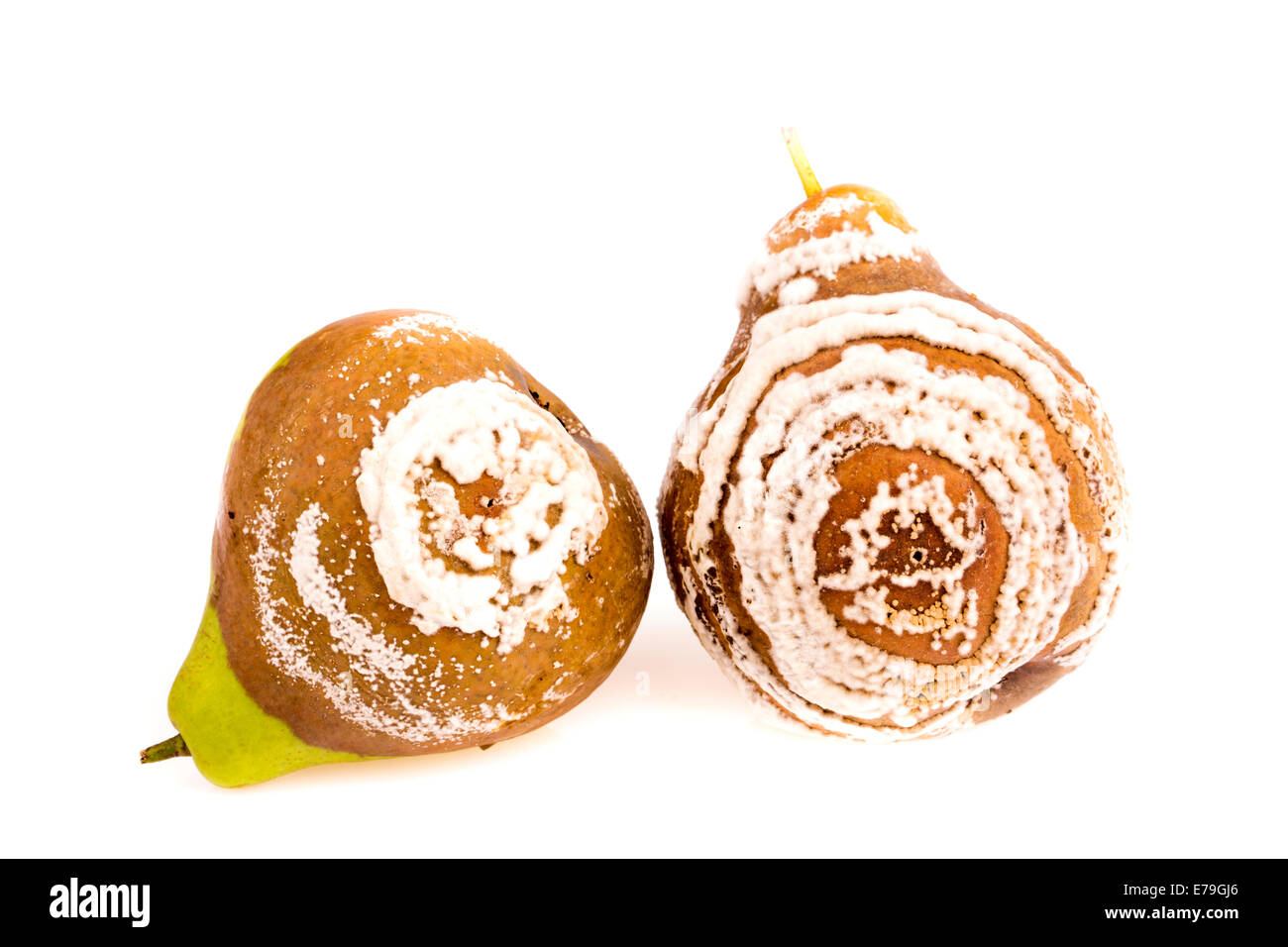 Rotten pear hi-res stock photography and images - Alamy