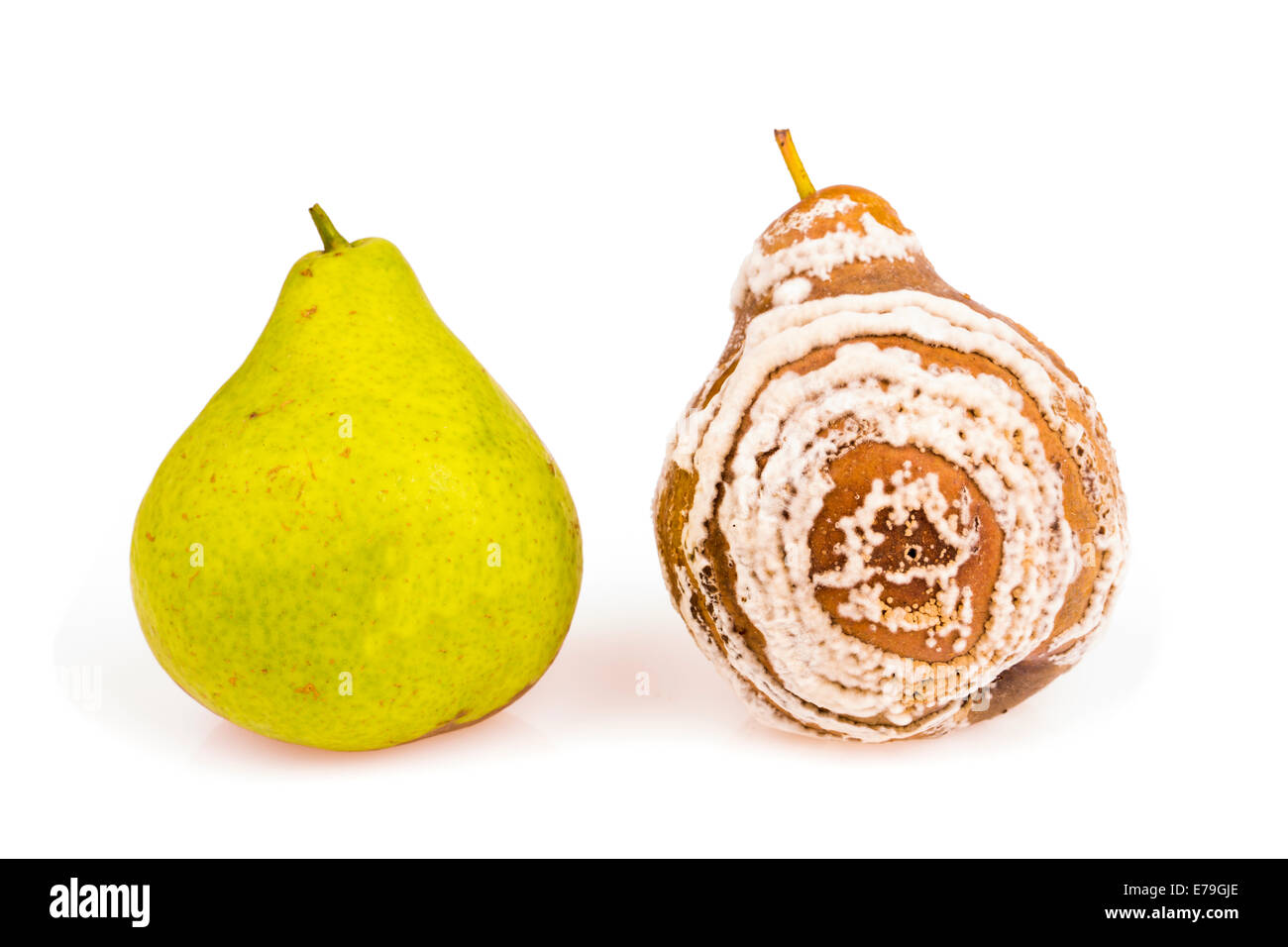 Rotten pear hi-res stock photography and images - Alamy