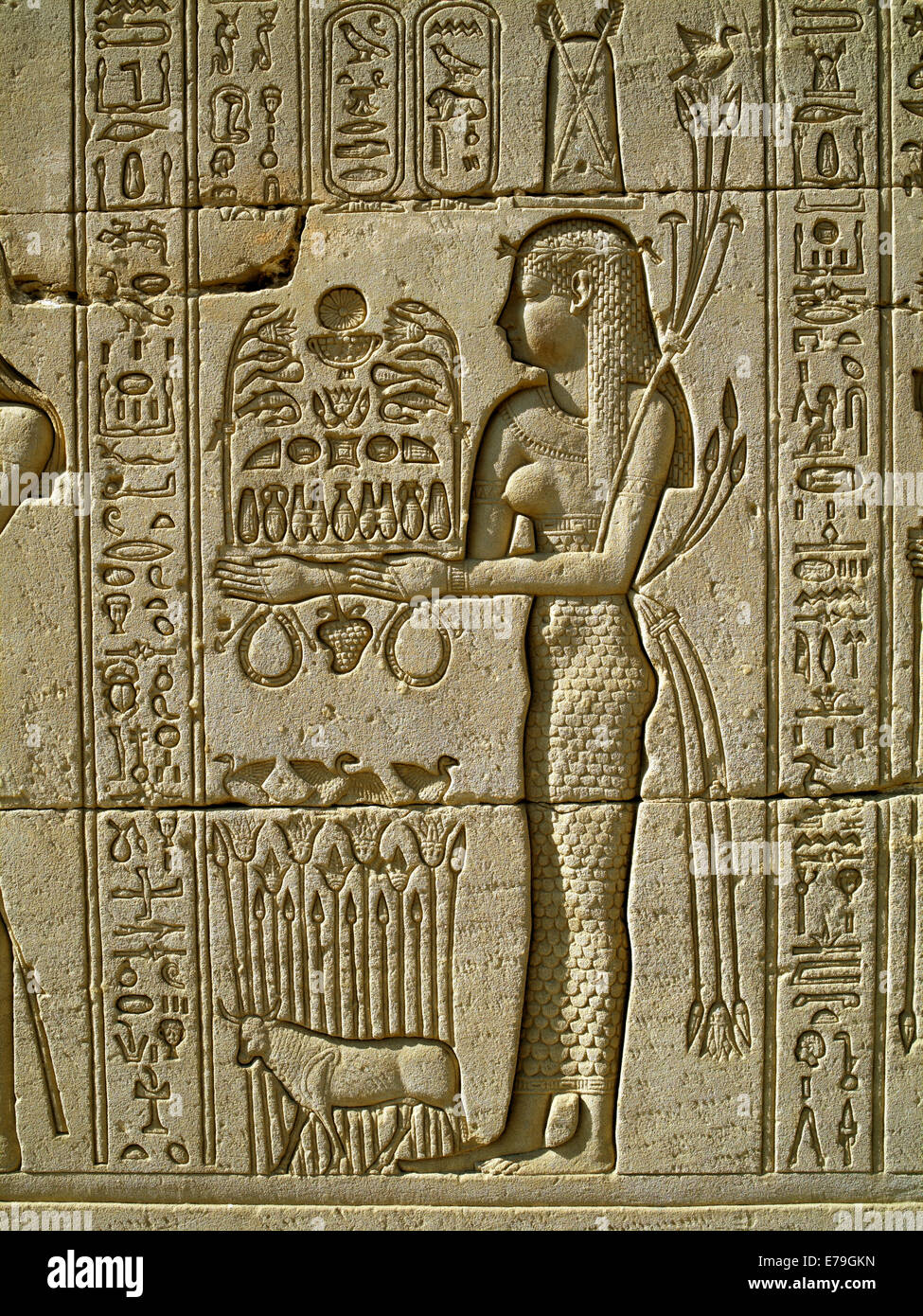 Relief scenes of Ptolemaic Pharaohs paying homage to the gods Stock ...