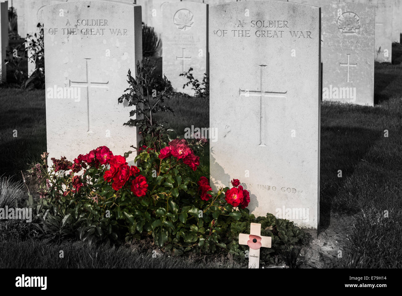 Graves of unknown British soldiers killed in WW1, Tyne Cot cemetery ...