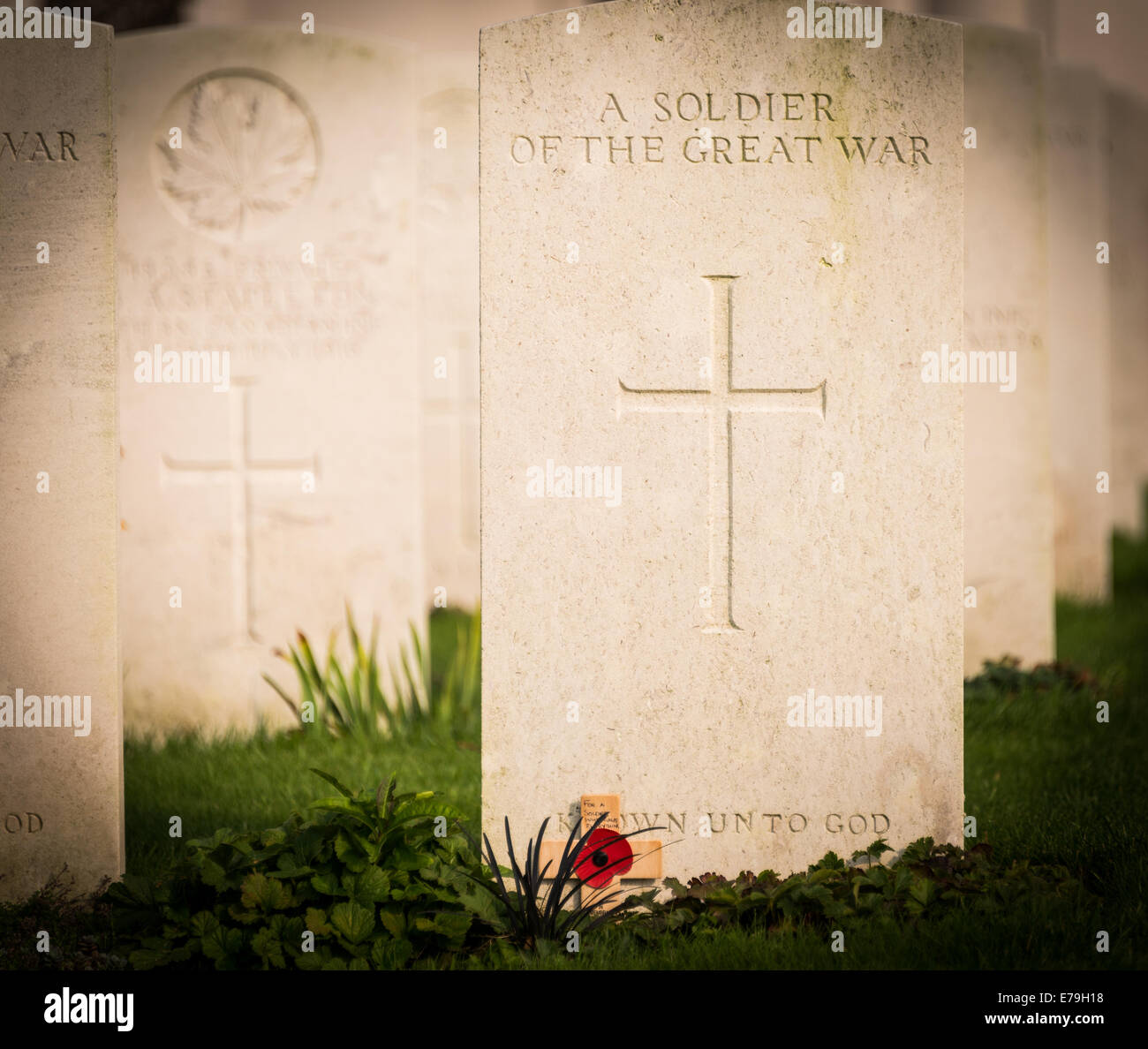 Headstones at the World War One cemetery at Tyne Cot, Belgium Stock ...