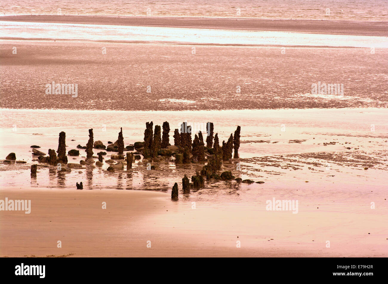 Rotten pilings hi-res stock photography and images - Alamy