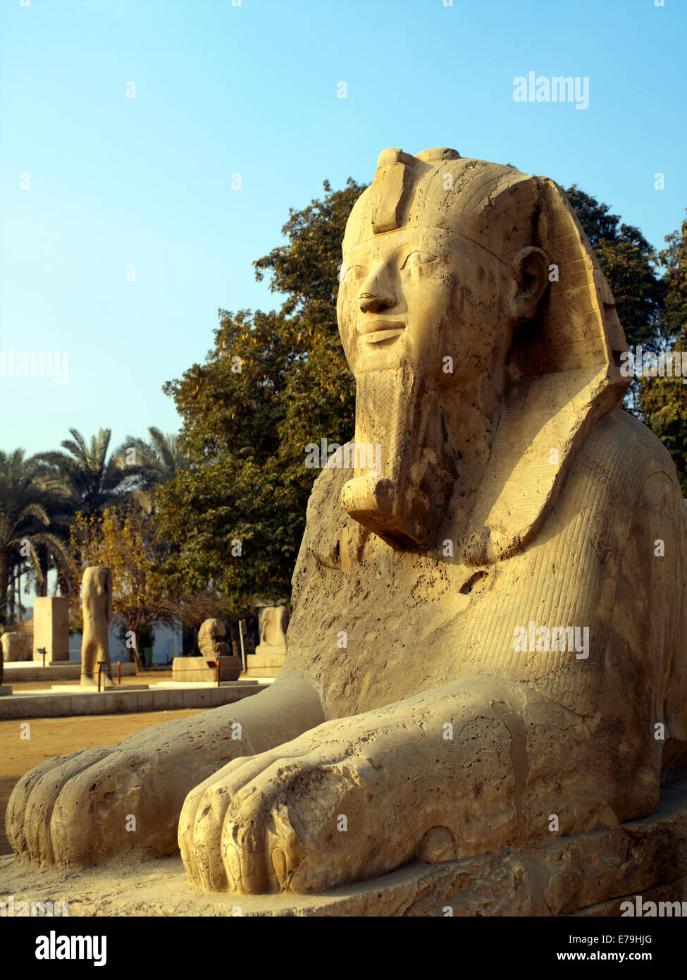 The Alabaster Sphinx at Memphis, Egypt Stock Photo - Alamy