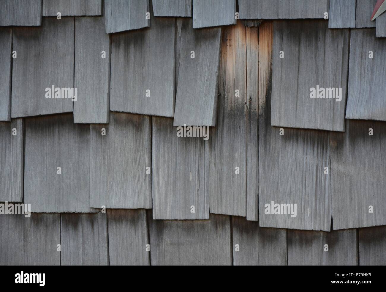 Cedar Shakes The overlapping cedar shakes cover the exterior of a house ...