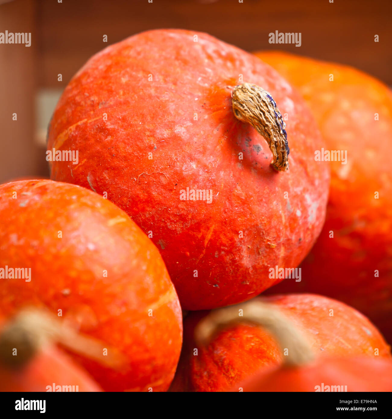Orange pumpkins in a market. Square shot with selective focus Stock ...